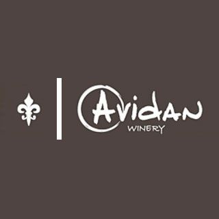 איש הענבים - יקב אבידן